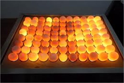 broiler hatching eggs Cobb 500 and Cobb 700 and Ross 308 Dealer in ...